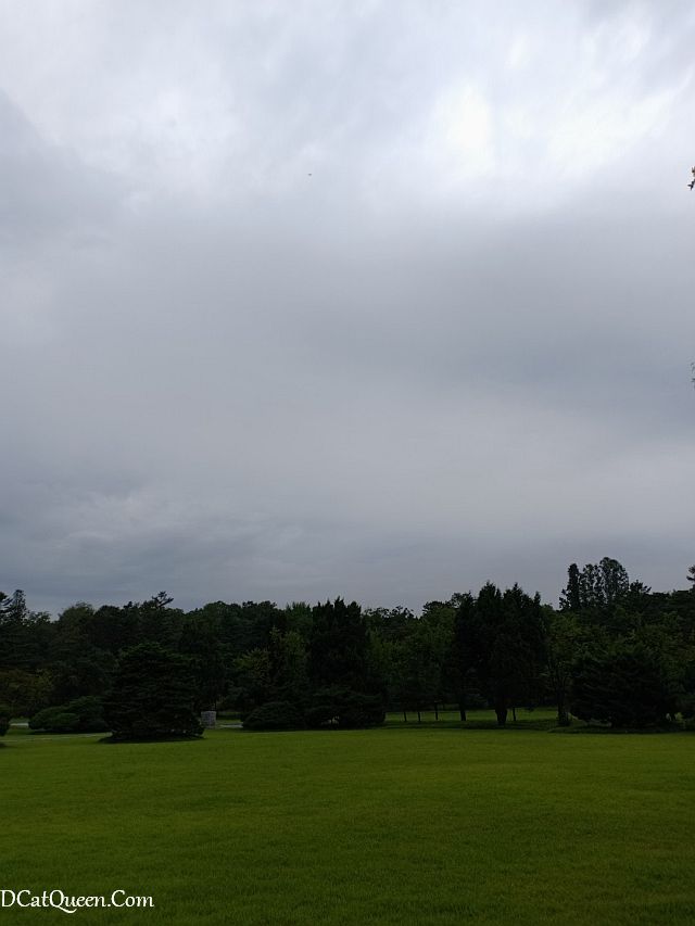 WISATA KOREA UTARA: MELIHAT RUMAH SUPREME LEADER & PERFORMANCE APIK ...