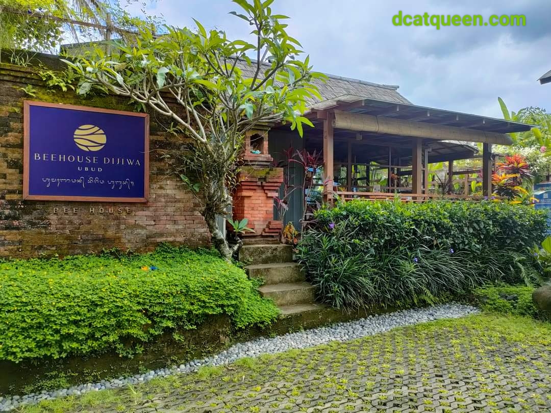 HOTEL BALI: PENGALAMAN MENGINAP DI BEEHOUSE DIJIWA UBUD VILLA
