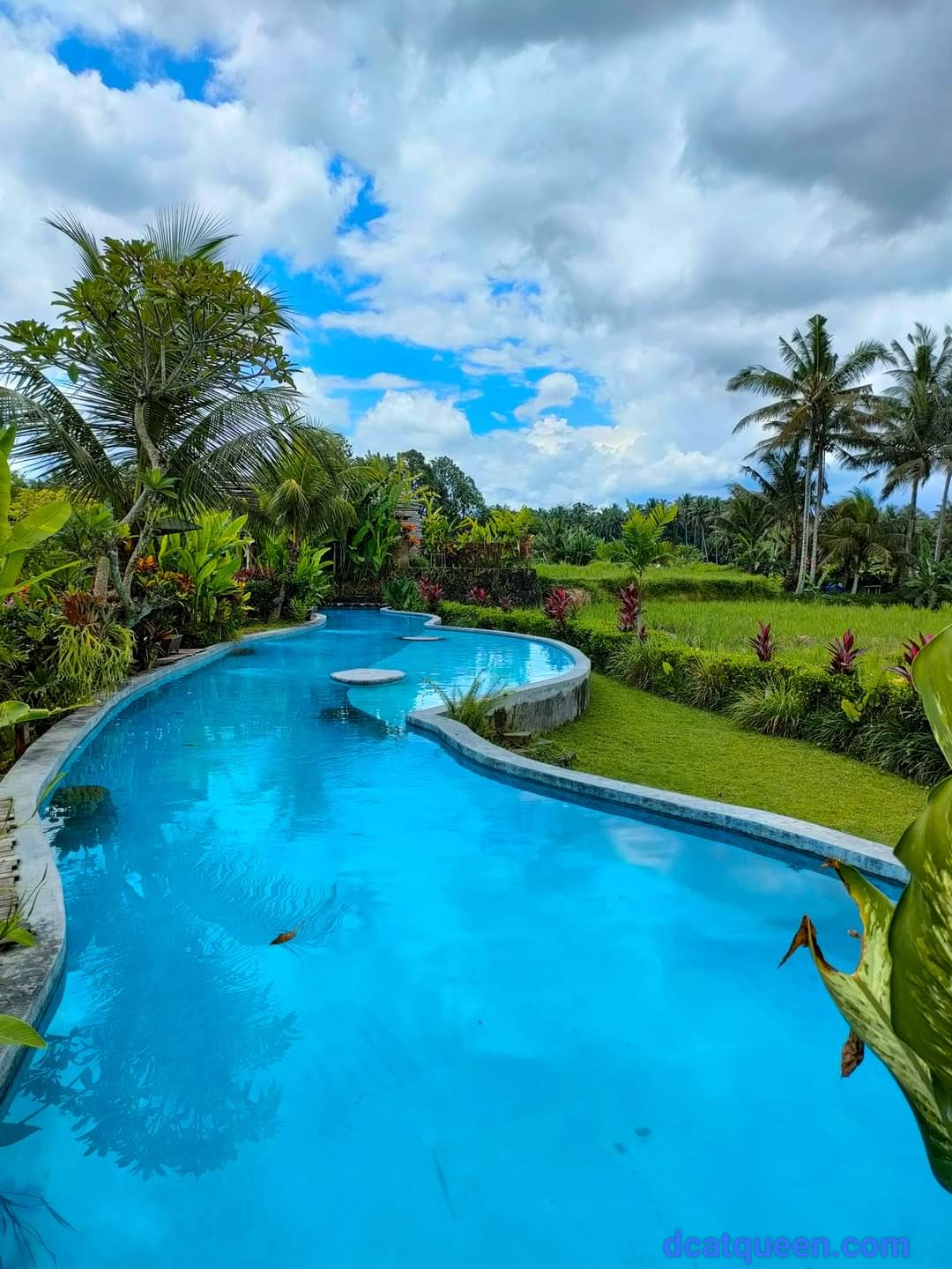 HOTEL BALI: PENGALAMAN MENGINAP DI BEEHOUSE DIJIWA UBUD VILLA