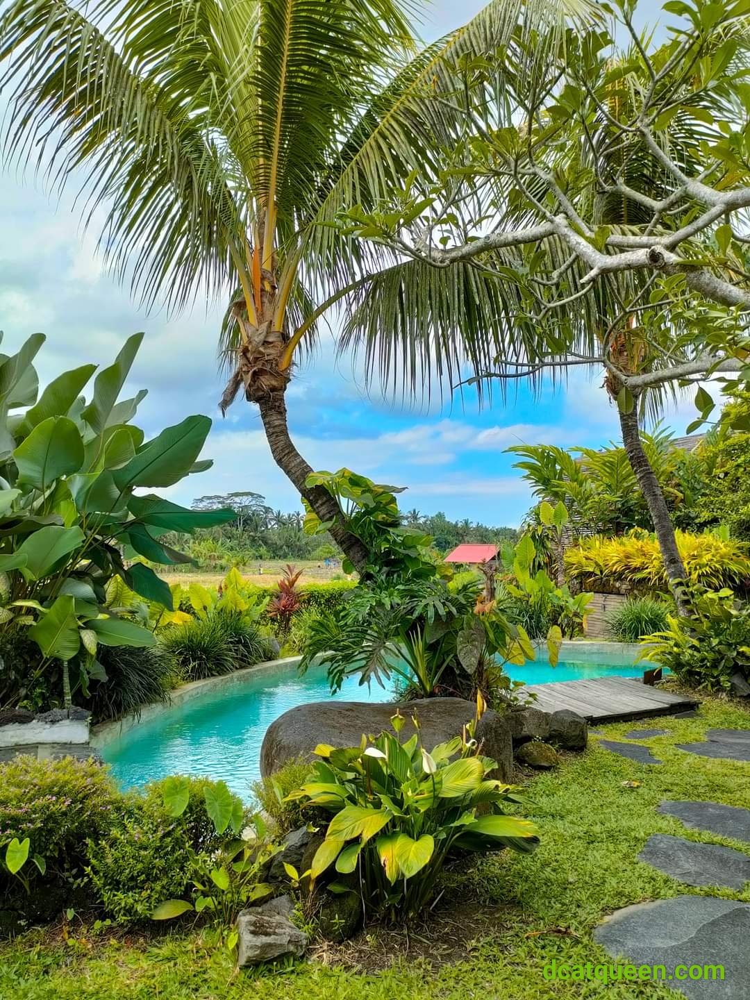 HOTEL BALI: PENGALAMAN MENGINAP DI BEEHOUSE DIJIWA UBUD VILLA