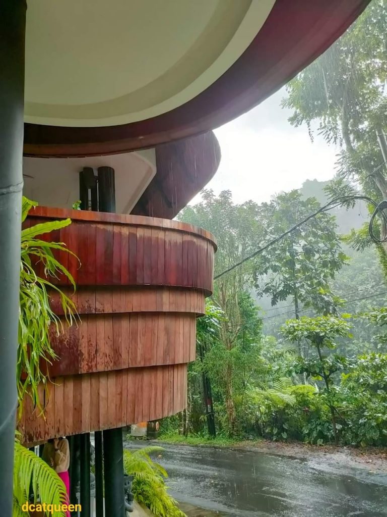 KULINER BALI: WYAH UBUD, KAFE BERTEMA ALAM DENGAN DESIGN UNIK