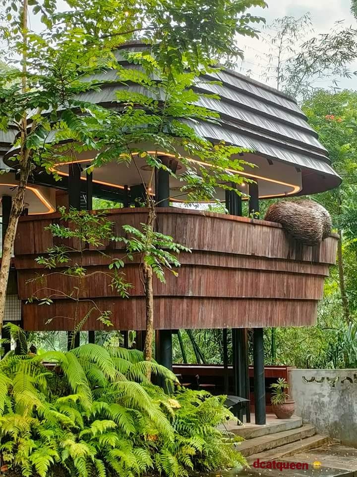 KULINER BALI: WYAH UBUD, KAFE BERTEMA ALAM DENGAN DESIGN UNIK