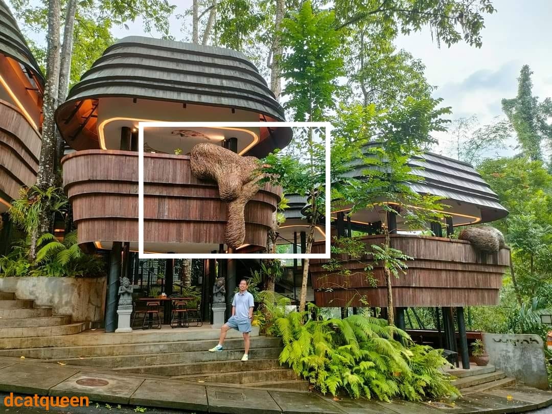 KULINER BALI: WYAH UBUD, KAFE BERTEMA ALAM DENGAN DESIGN UNIK