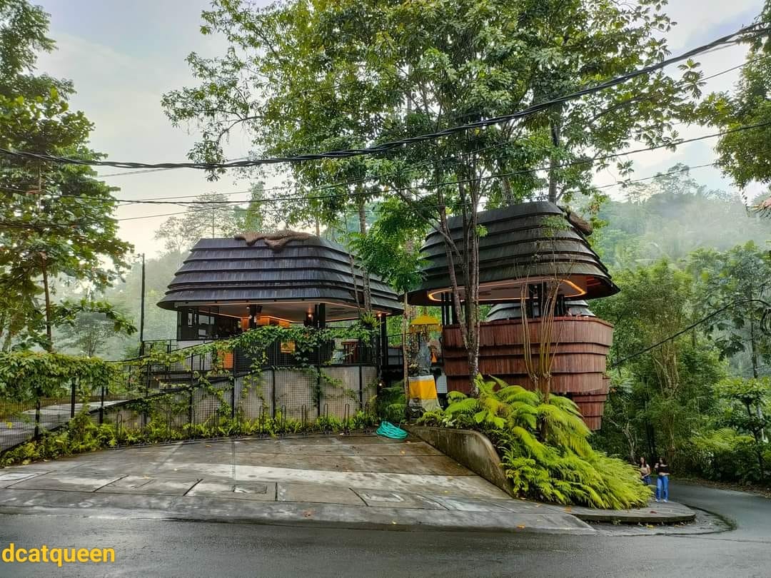KULINER BALI: WYAH UBUD, KAFE BERTEMA ALAM DENGAN DESIGN UNIK