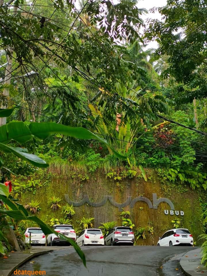 KULINER BALI: WYAH UBUD, KAFE BERTEMA ALAM DENGAN DESIGN UNIK