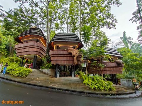 KULINER BALI: WYAH UBUD, KAFE BERTEMA ALAM DENGAN DESIGN UNIK