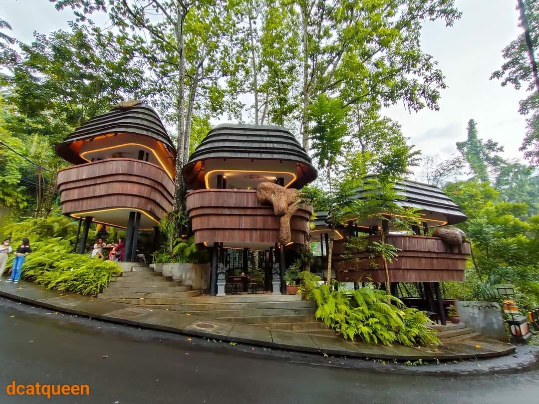 WYAH UBUD, KAFE BERTEMA ALAM DENGAN DESIGN UNIK
